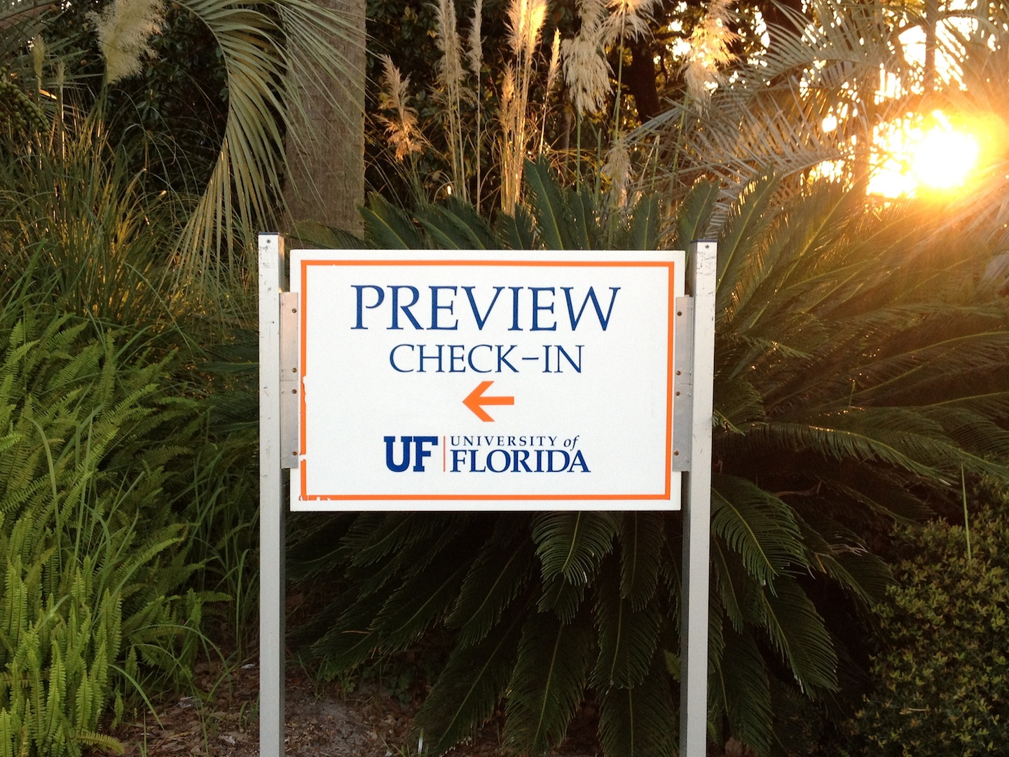 Welcome to UF Class of 2016 - a Freshie's look at UF Preview | A Home ... Welcome to UF Class of 2016 - a Freshie's look at UF Preview | A Home ...
